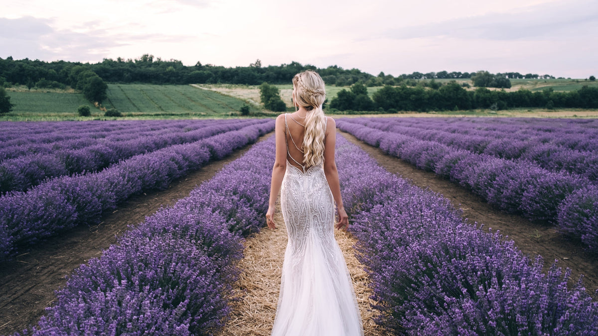 Shop Wedding Dresses Online - Maxima Bridal Canada